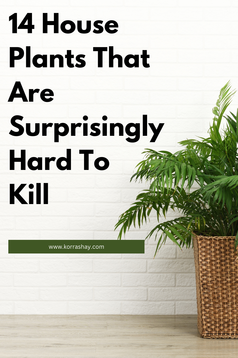14 House Plants That Are Surprisingly Hard To Kill – | Talk Plant To Me