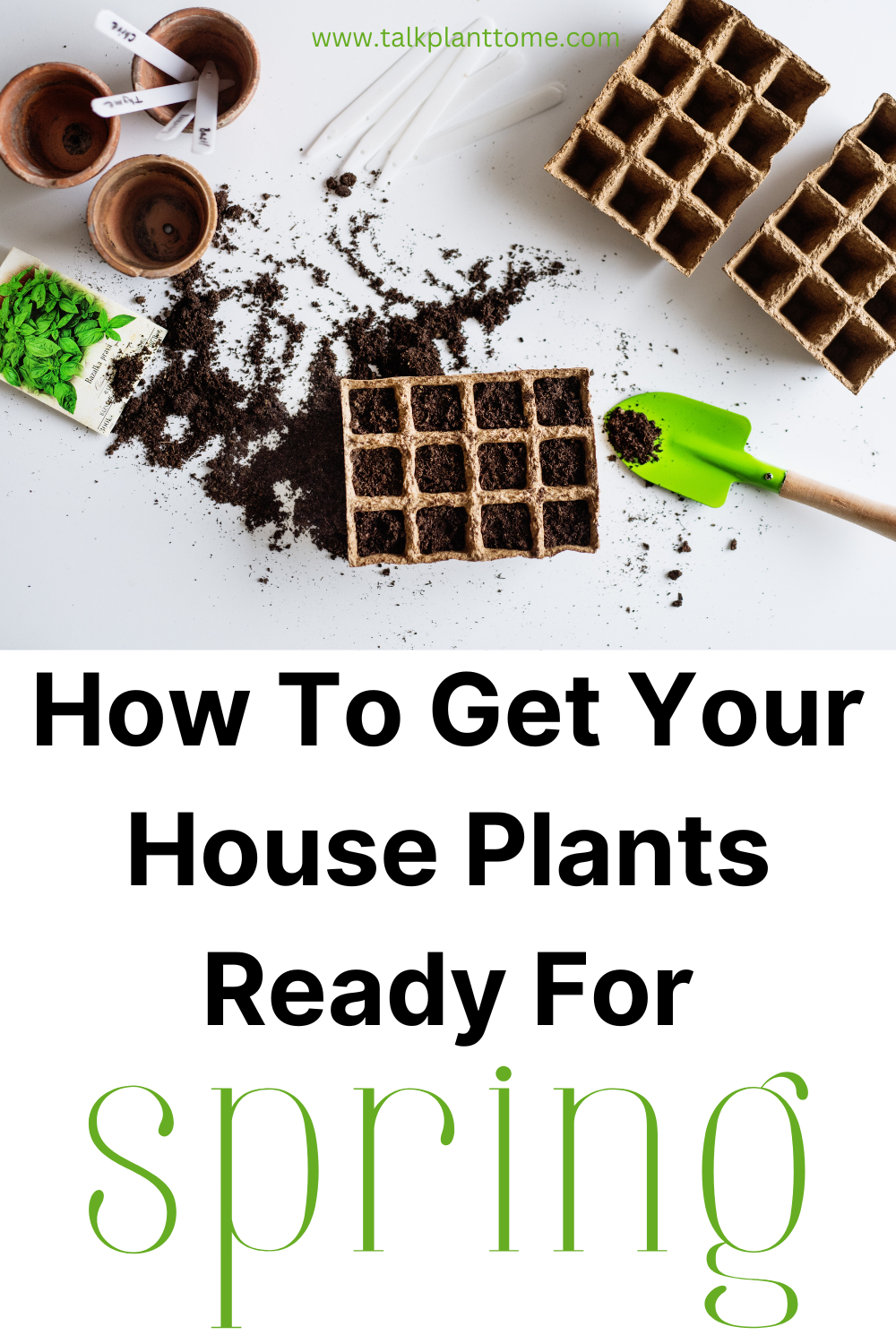 How To Get Your House Plants Ready For Spring – | Talk Plant To Me