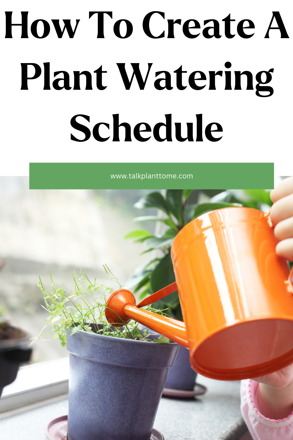 How To Create A Plant Watering Schedule – | Talk Plant To Me