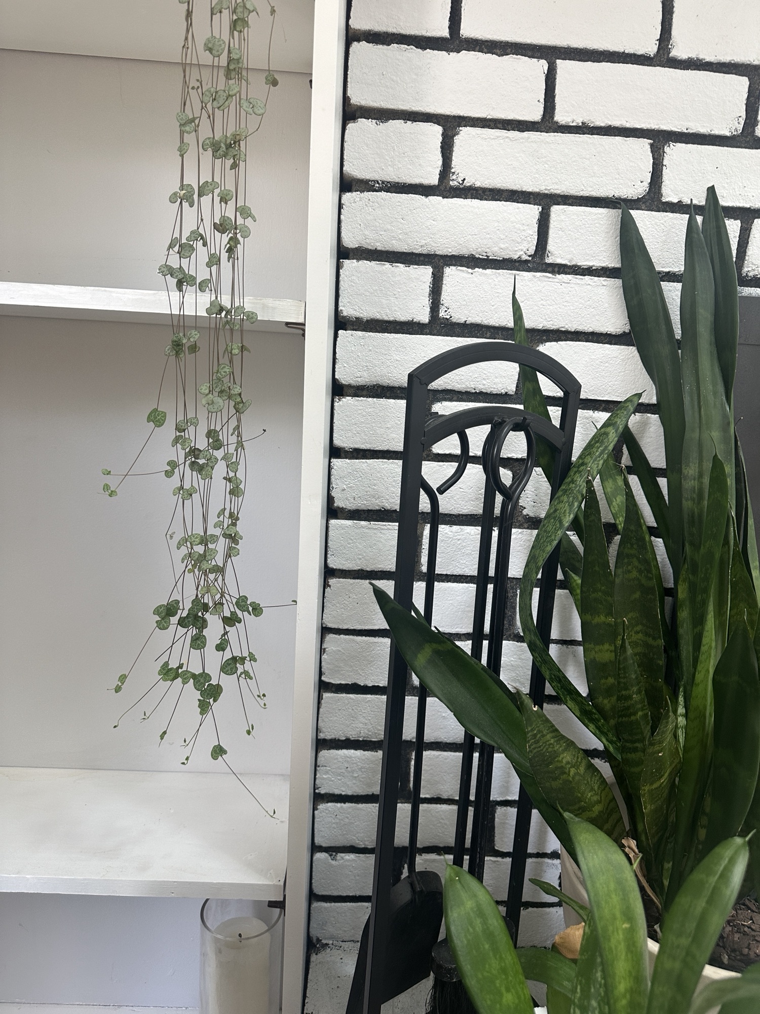 How To Tell If Your House Is Too Cold For Your Plants – | Talk Plant To ...