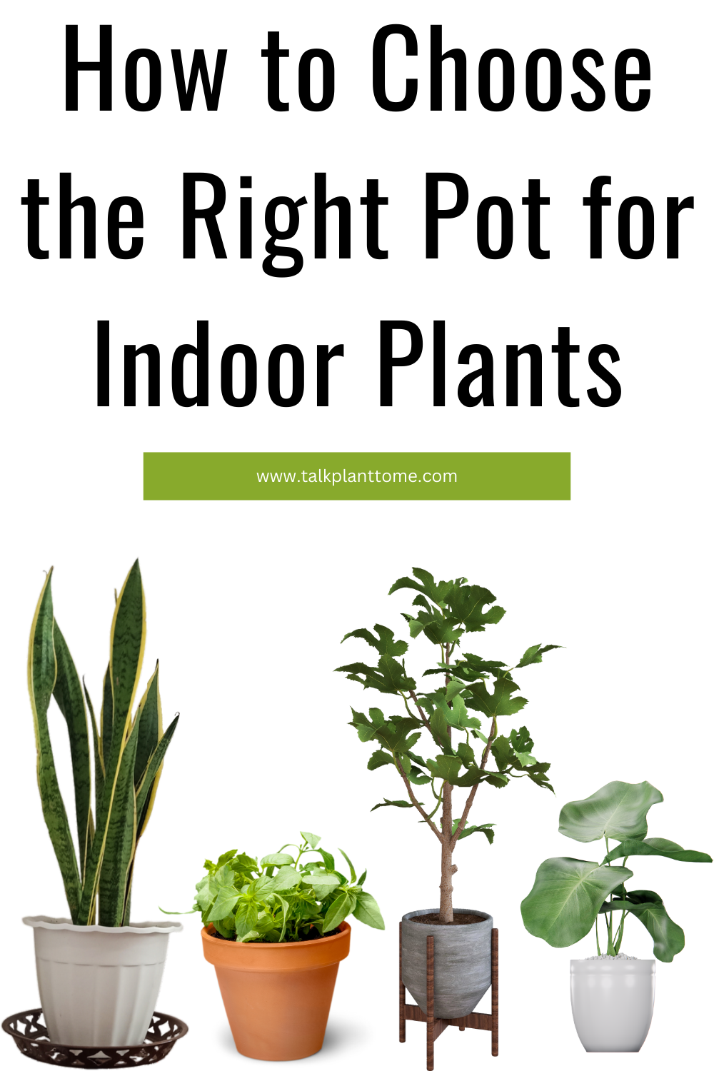 How to Choose the Right Pot for Indoor Plants – | Talk Plant To Me