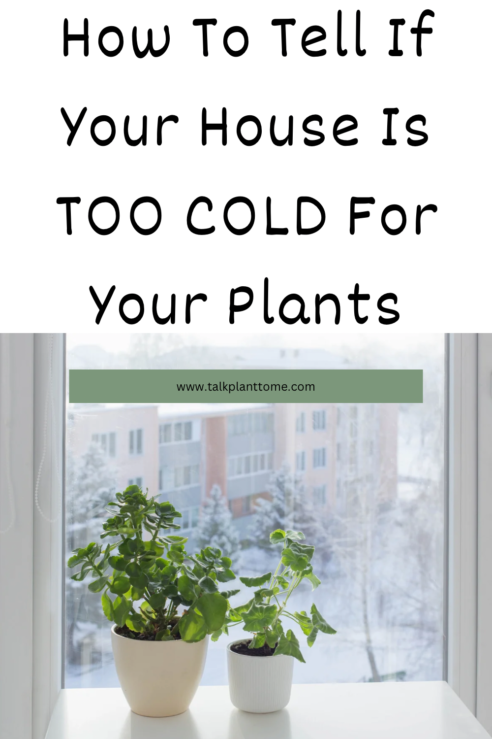 How To Tell If Your House Is Too Cold For Your Plants – | Talk Plant To ...