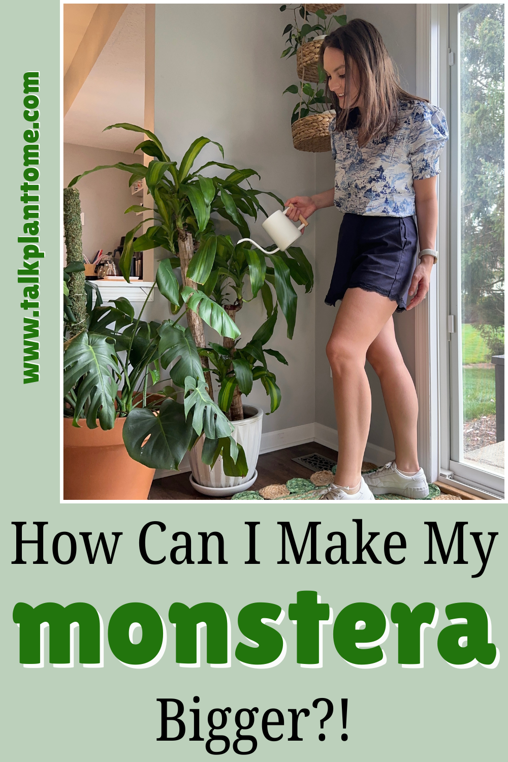 How Can I Make My Monstera Bigger?! – | Talk Plant To Me