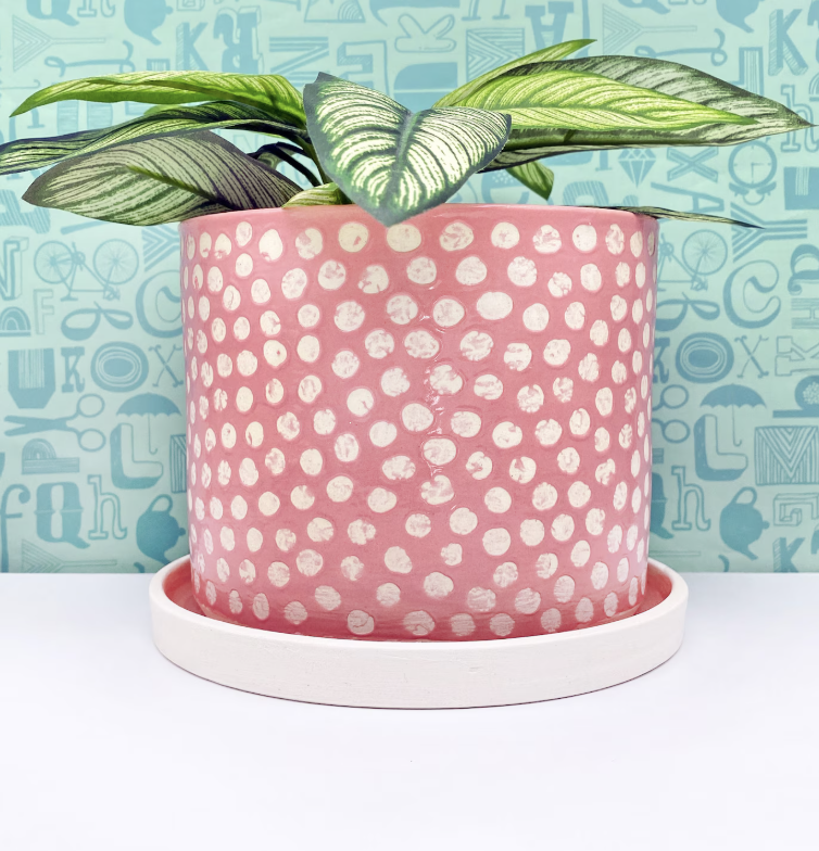 22 Pink Planters For Plant Moms! – | Talk Plant To Me