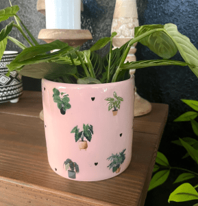 22 Pink Planters For Plant Moms! – | Talk Plant To Me