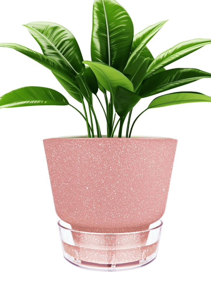 22 Pink Planters For Plant Moms! – | Talk Plant To Me